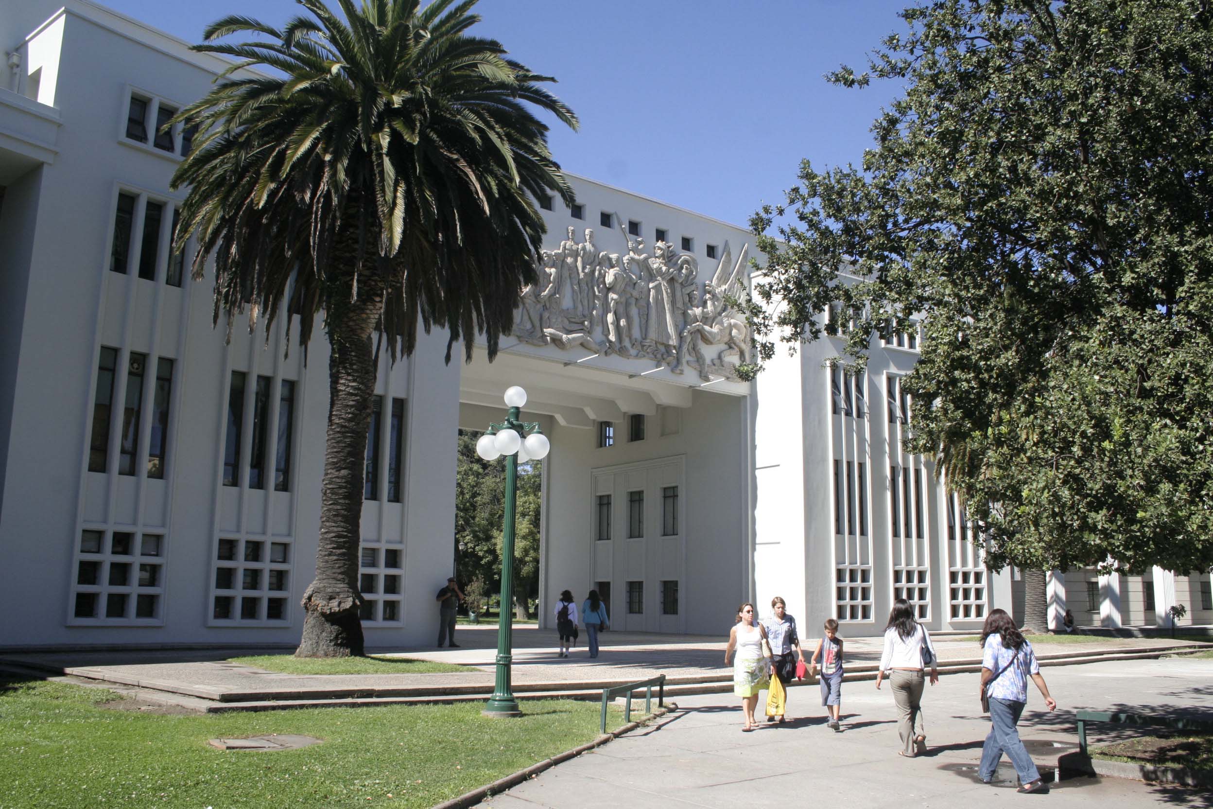 Patrimonio Arbóreo del Campus Central UdeC | Centenario UdeC